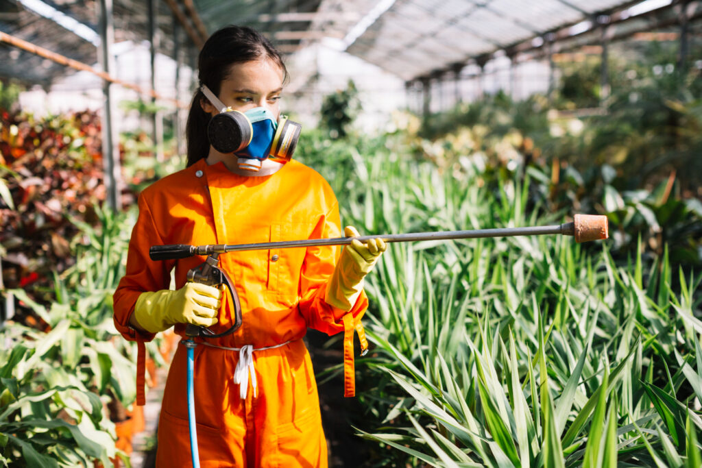 Quality Pest Control You Can Trust In Hollywood, Fl & Fort Lauderdale ...